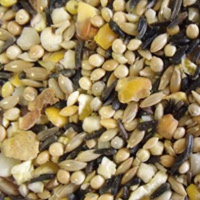 BirdSeeds Maize / Kibbled maize – VANATOFRONT EXPORTERS (PTY) LTD