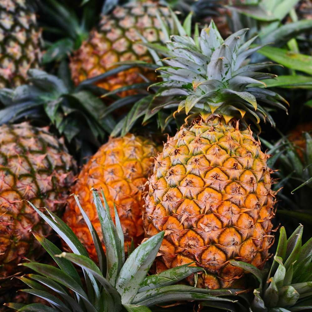 Fresh-quality-Pineapples – VANATOFRONT EXPORTERS (PTY) LTD