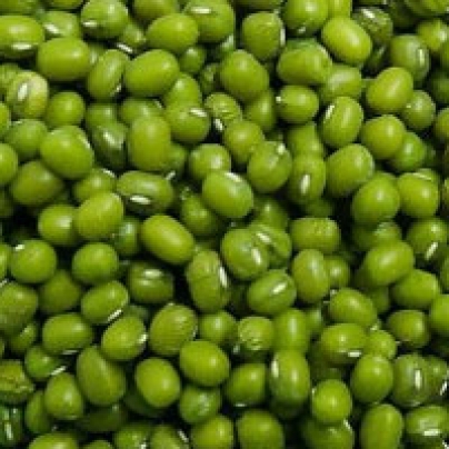 Green Mung Beans – VANATOFRONT EXPORTERS (PTY) LTD